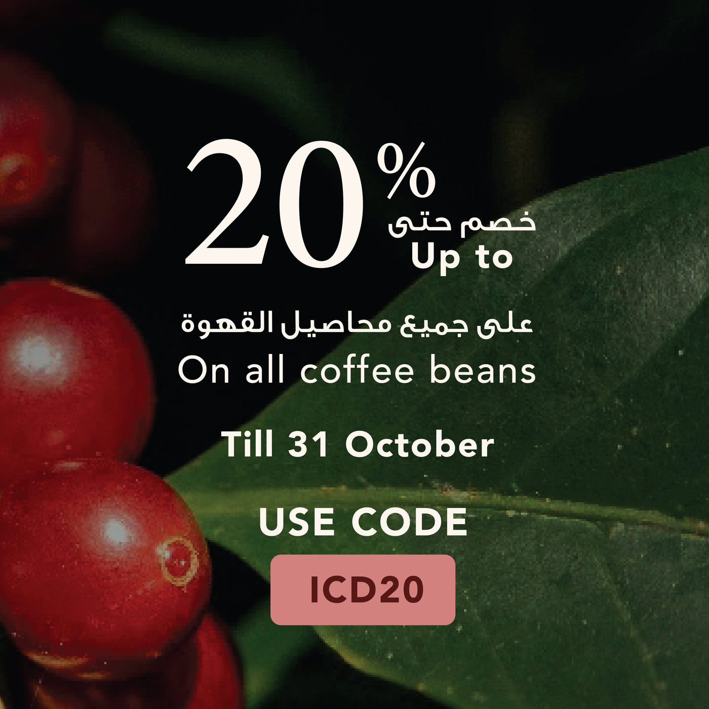 Caffeine Lab | Specialty Coffee & Café in Jeddah | Shop Online