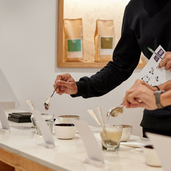 Barista Skills Course - Level Intermediate - Caffeine Lab